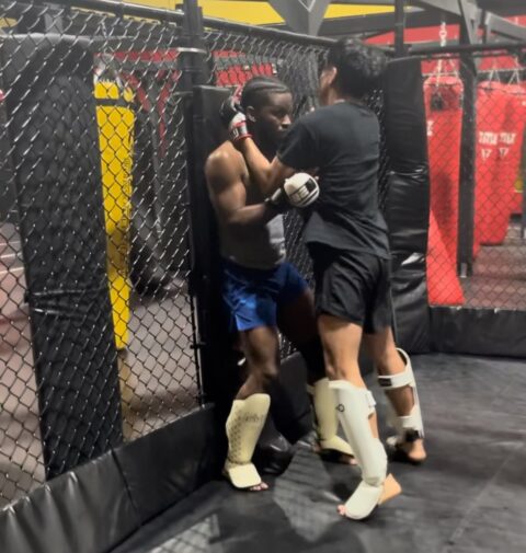 Mixed Martial Arts - Independent MMA & Fitness of McDonough